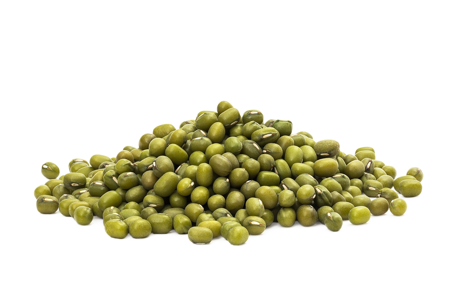 Organic Green Gram Varieties – eChoupal Advisory