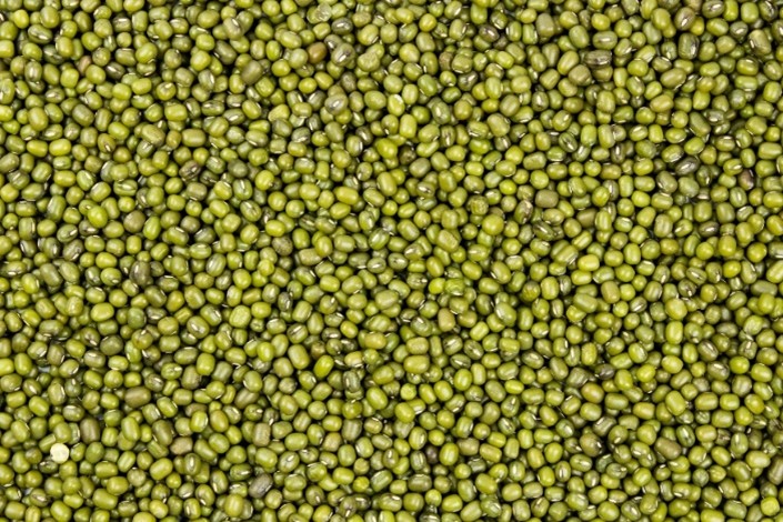 Organic Green Gram Varieties – eChoupal Advisory